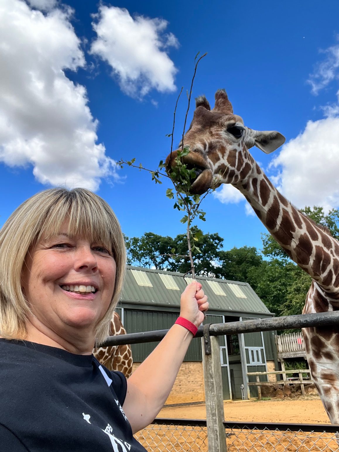 We went to the zoo, you should go too… – 4fx Design & Multimedia